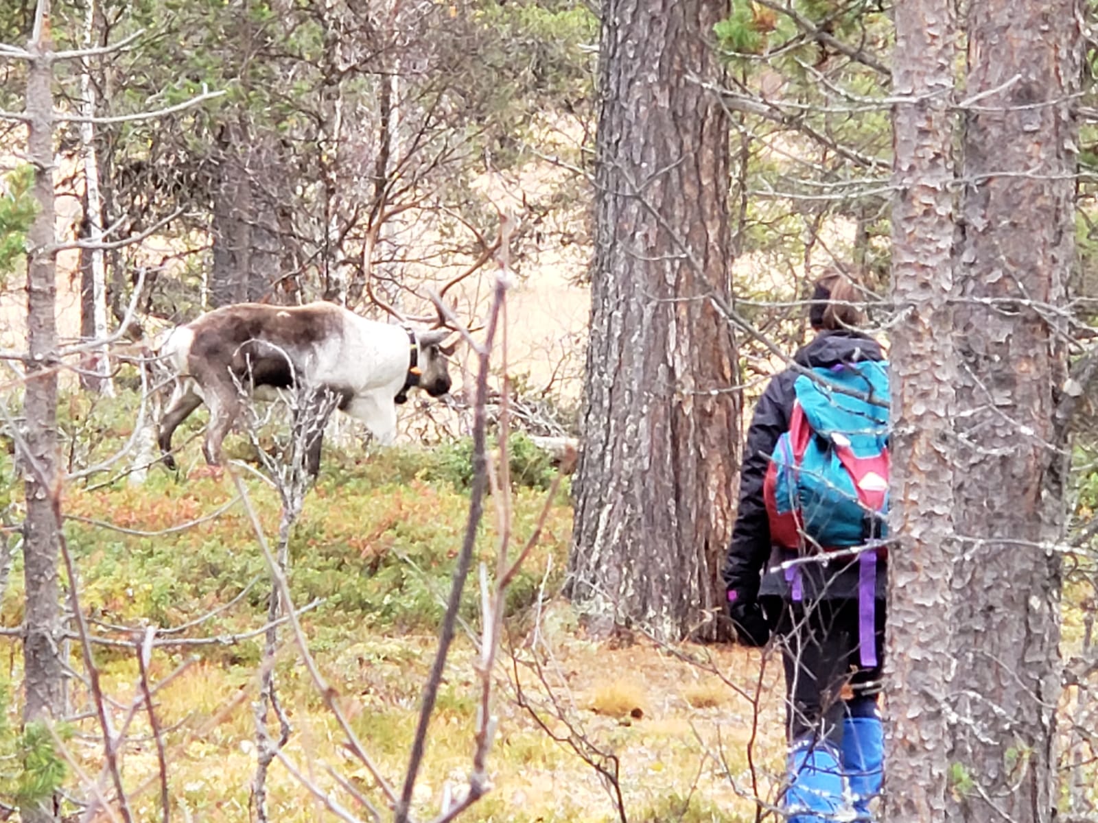 Laura Puch – Welcome to Dr. Robert Weladji's Laboratory